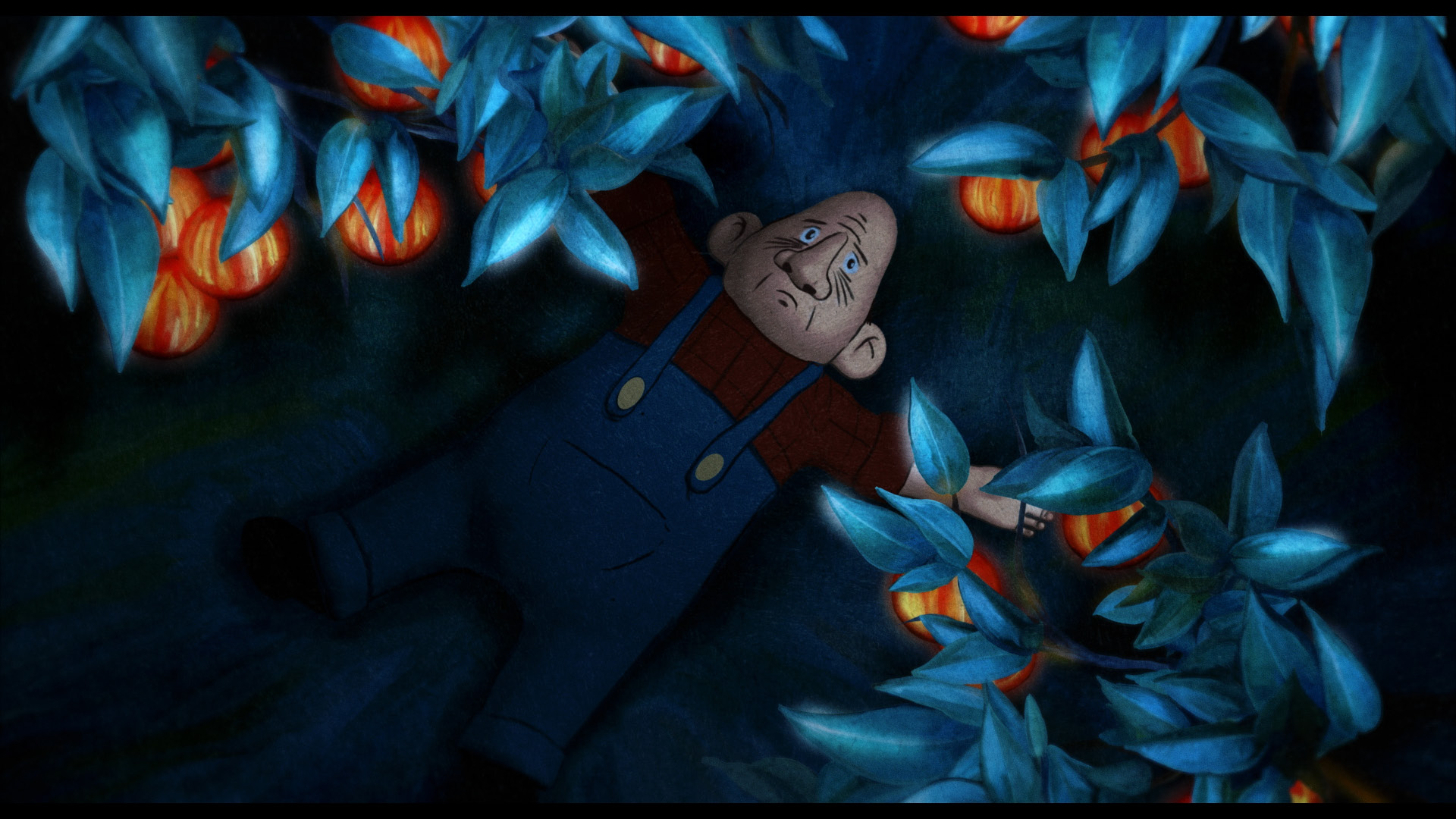 Jus d’orange - Planet Lens